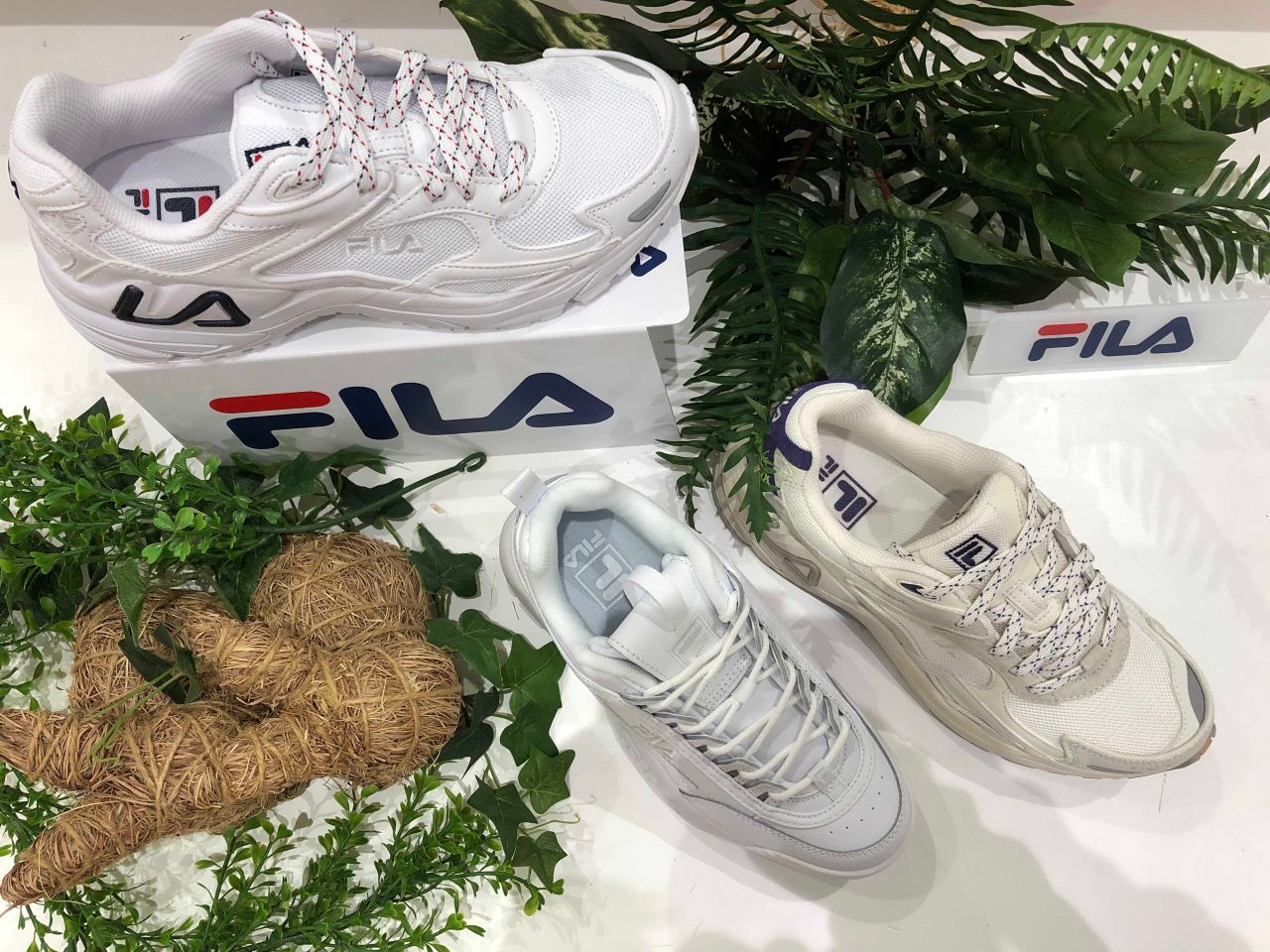FILA 新作の紹介！ | 北方店 | フィットハウス公式ショップブログ|FITHOUSEBLOG