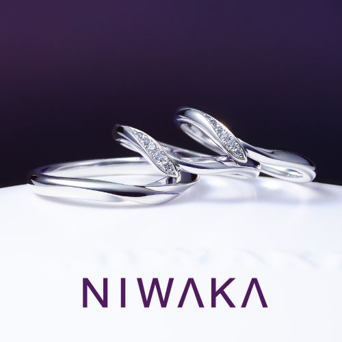 【NIWAKA】幅違いの新作をご紹介！ | 岡山拠点のトミヤコーポレーション公式ショップブログ