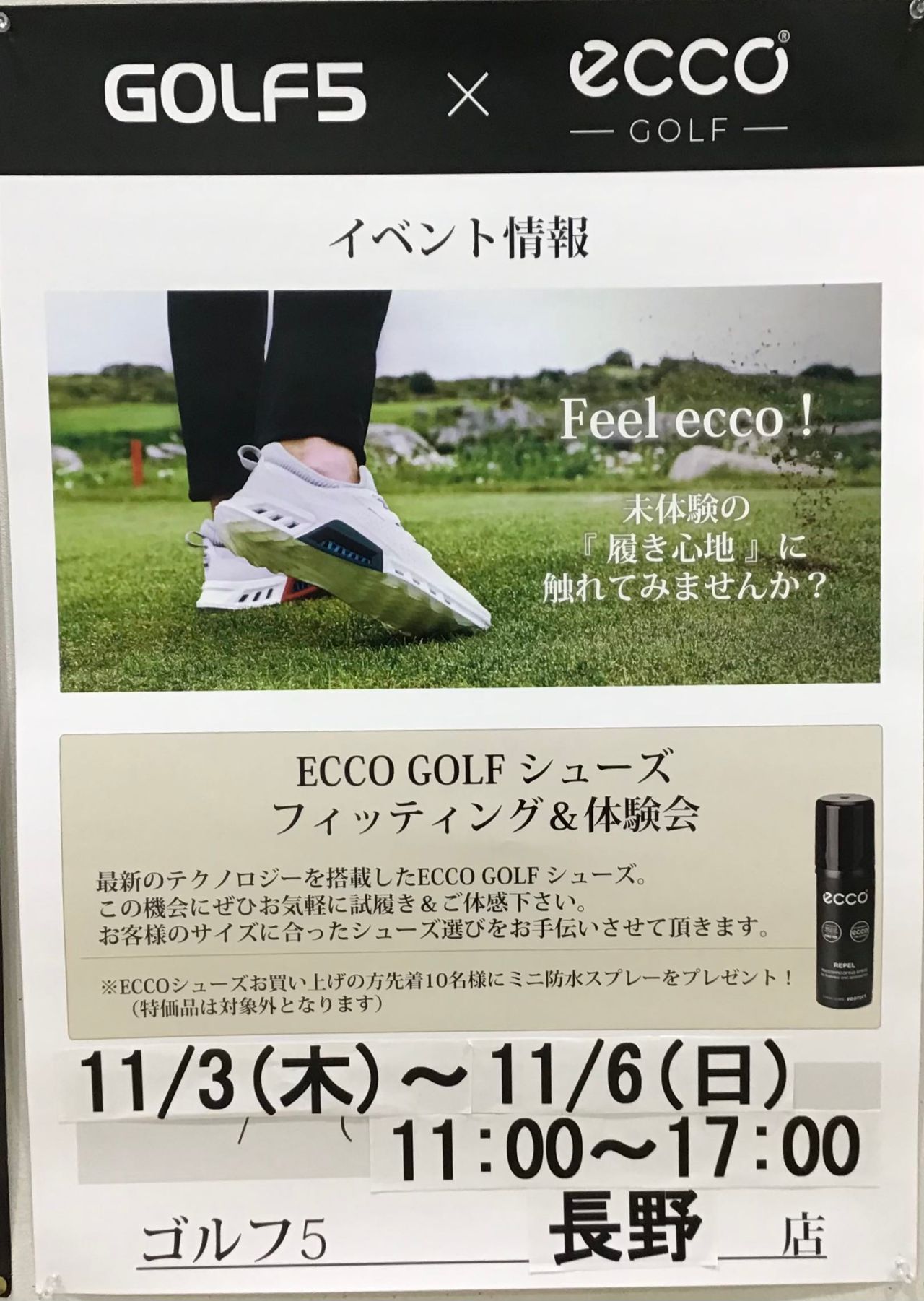 ECCOシューズ体験会開催中！！ | ゴルフ5 長野店 | ゴルフ5 / GOLF5 公式ショップブログ