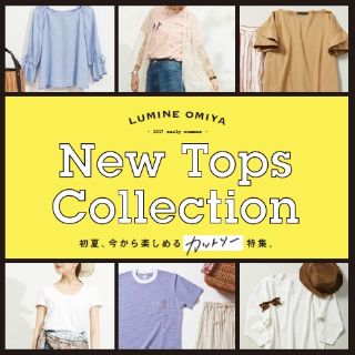 New Tops Collection | SHIPS(シップス) | SHIPS 大宮店 | シップス（SHIPS）公式ショップブログ