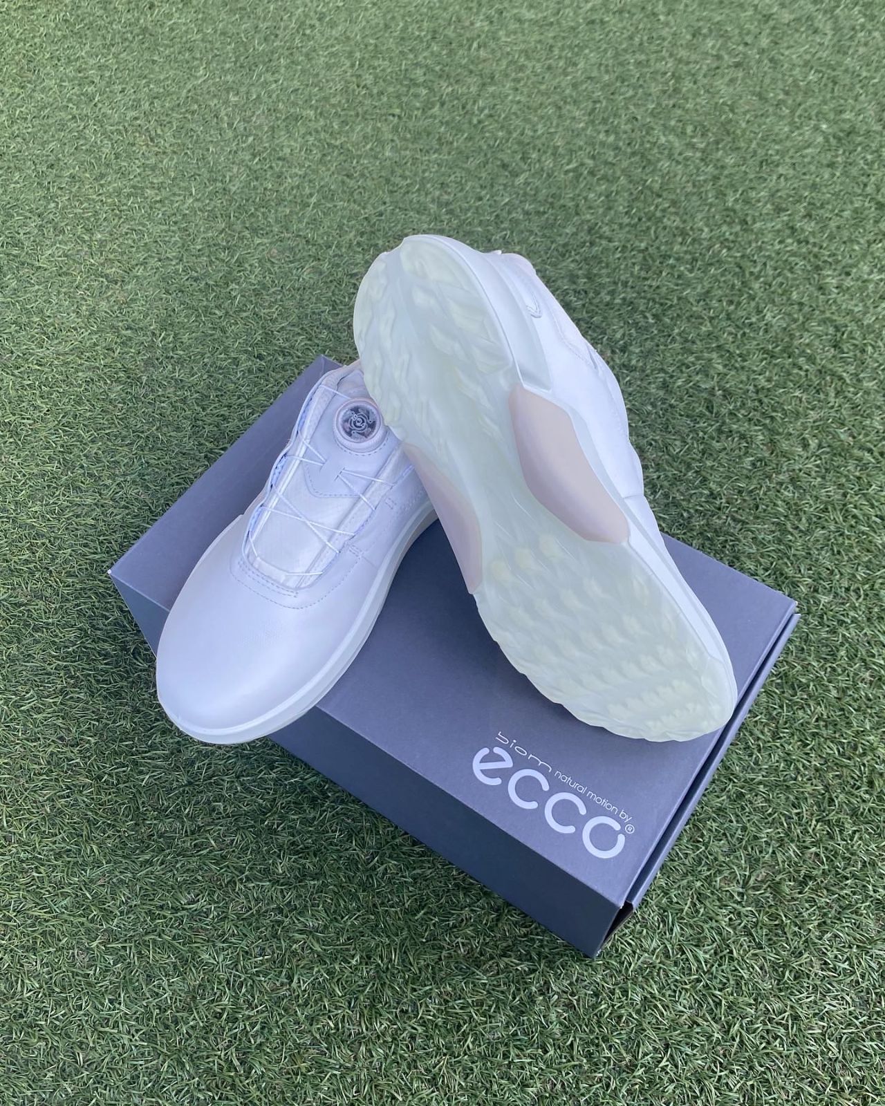 ecco エコー新作シューズ入荷 | ゴルフ5 プレステージ名古屋店 | ゴルフ5 / GOLF5 公式ショップブログ