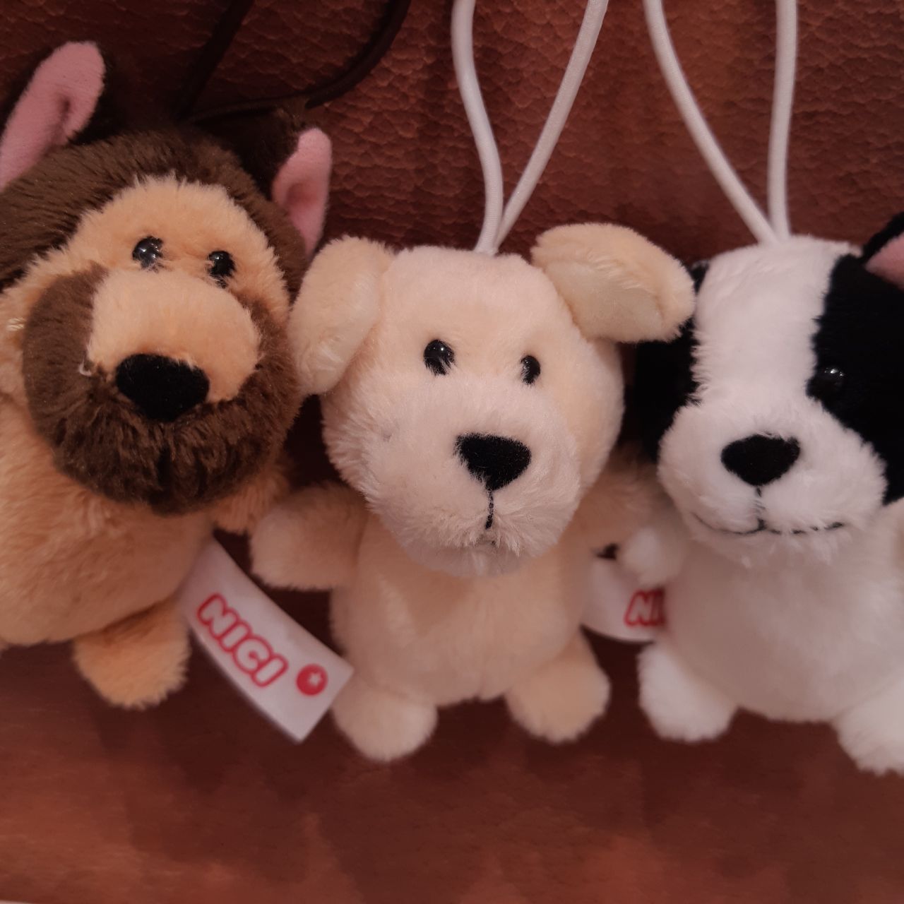 NICI DOG FRIENDS♡ | Rainbow SPECTRUM 上小田井 | アントレックス公式ブログ