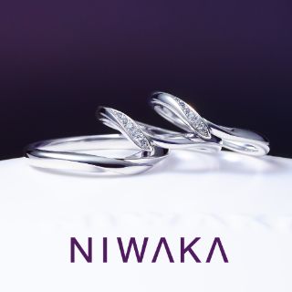 【NIWAKA】幅違いの新作をご紹介！ | 岡山拠点のトミヤコーポレーション公式ショップブログ