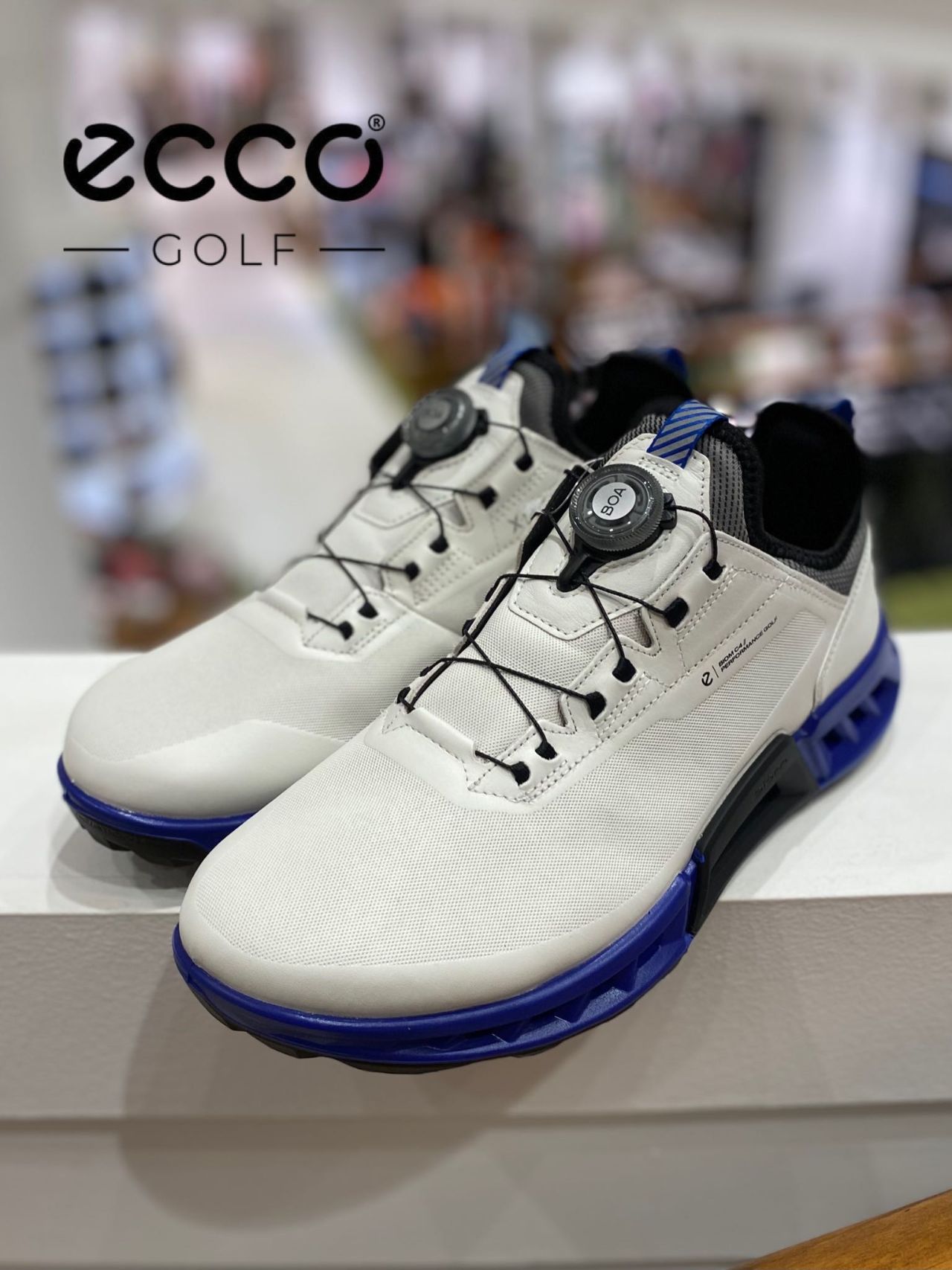 BIOM C4 新色入荷しました‼️ecco | ゴルフ5 プレステージ神戸店 | ゴルフ5 / GOLF5 公式ショップブログ
