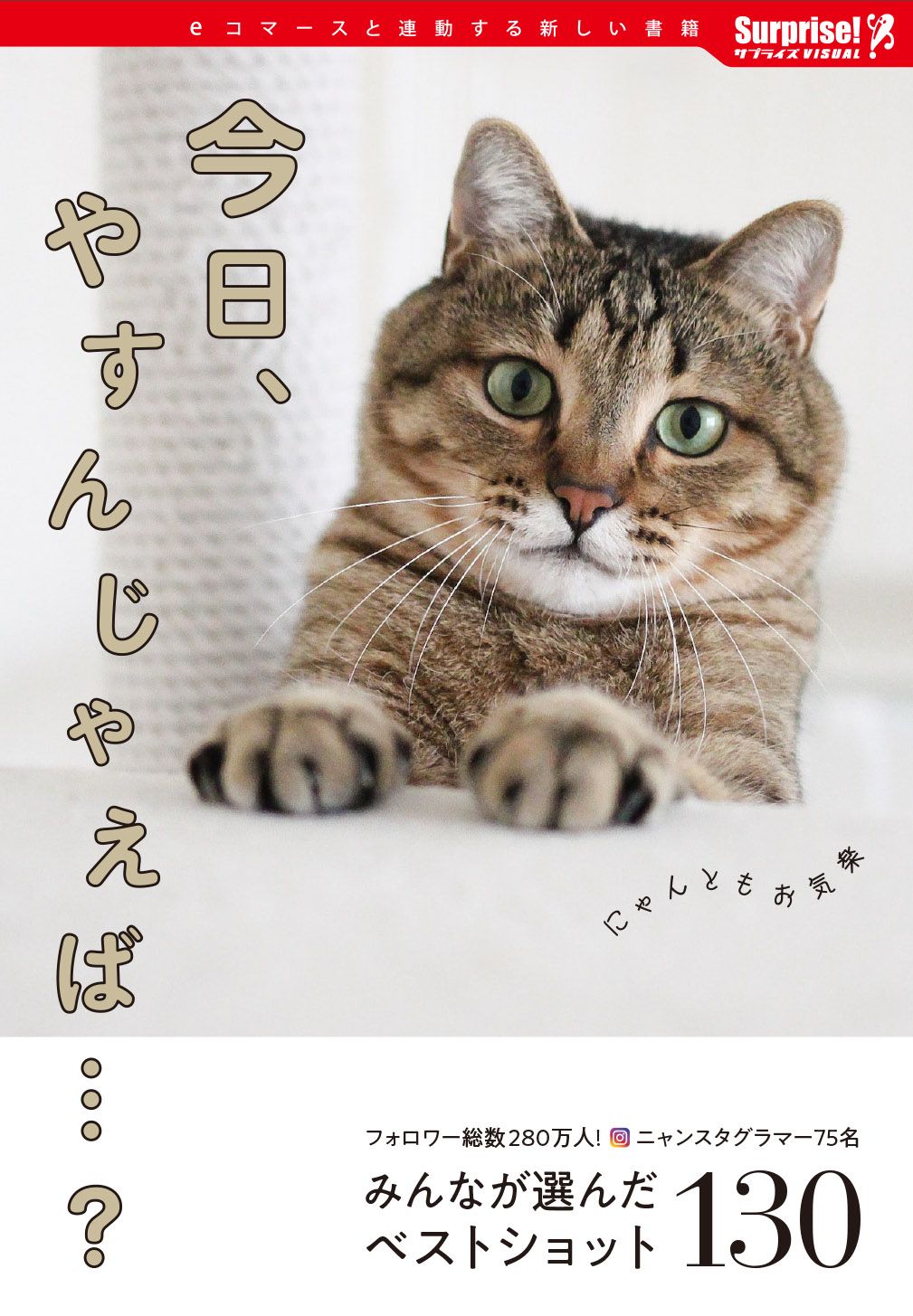 新刊予告11/5②『今日、やすんじゃえば…？』 | Surprise Book | アントレックス公式ブログ